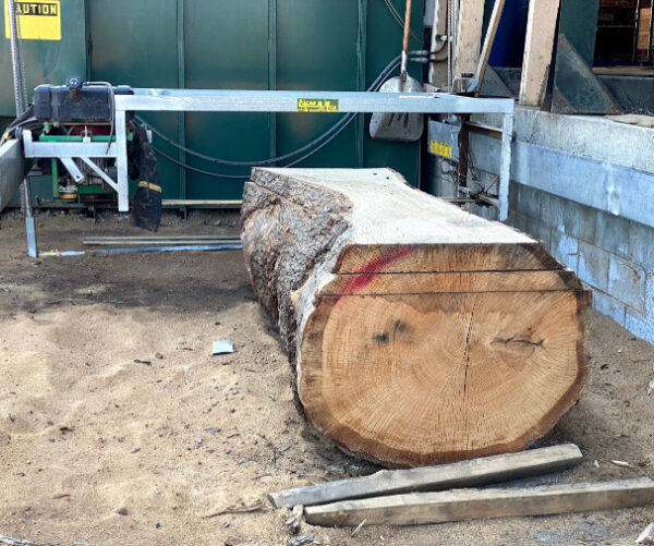 How To Cut Live Edge Slabs With A Chainsaw Mill | Lancaster Live Edge