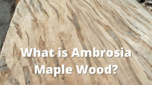 What Is Ambrosia (Wormy) Maple? | Learn About Wormy Maple Wood