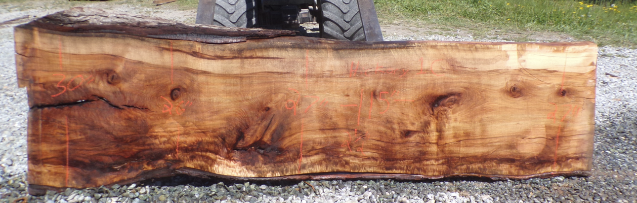 Hickory Live Edge Slabs For Sale | Lancaster Live Edge