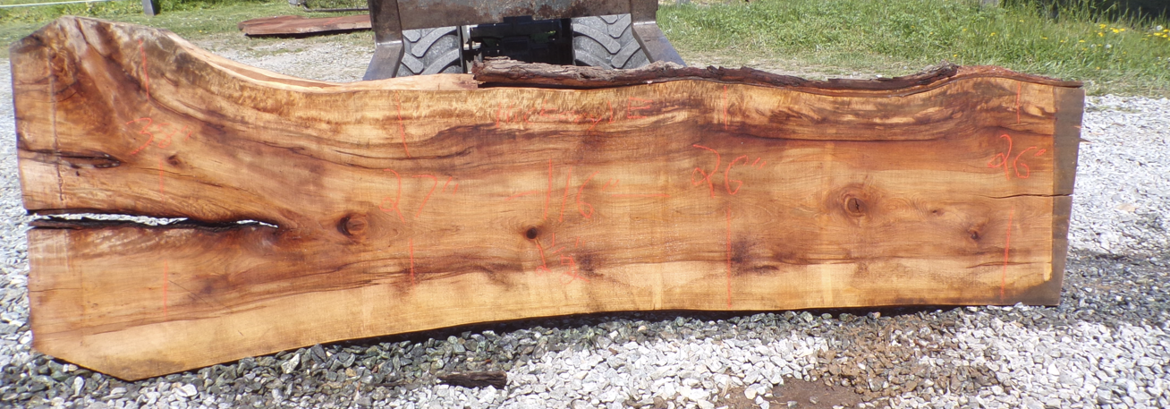 Hickory Live Edge Slabs For Sale | Lancaster Live Edge