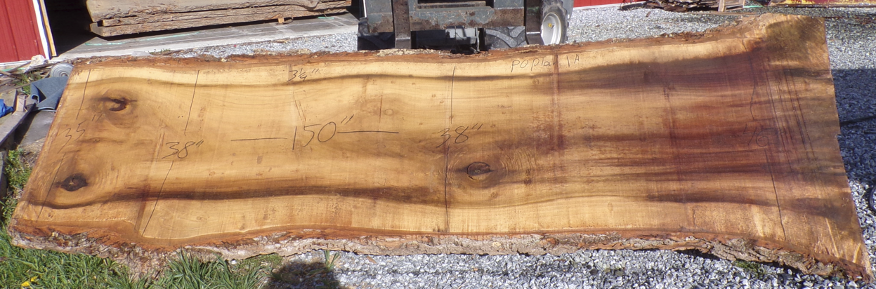 Poplar Wood
