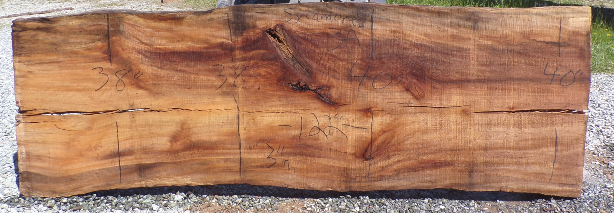 Sycamore Live Edge Wood Slabs | Lancaster Live Edge